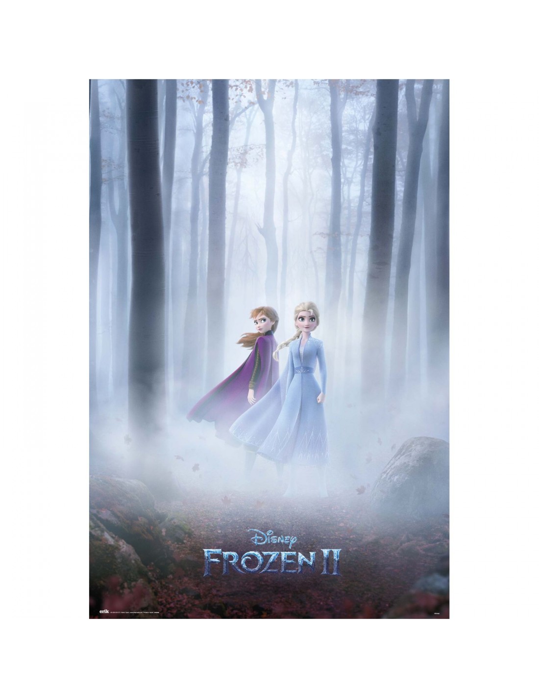 Póster Elsa y Ana Frozen 2 (9)