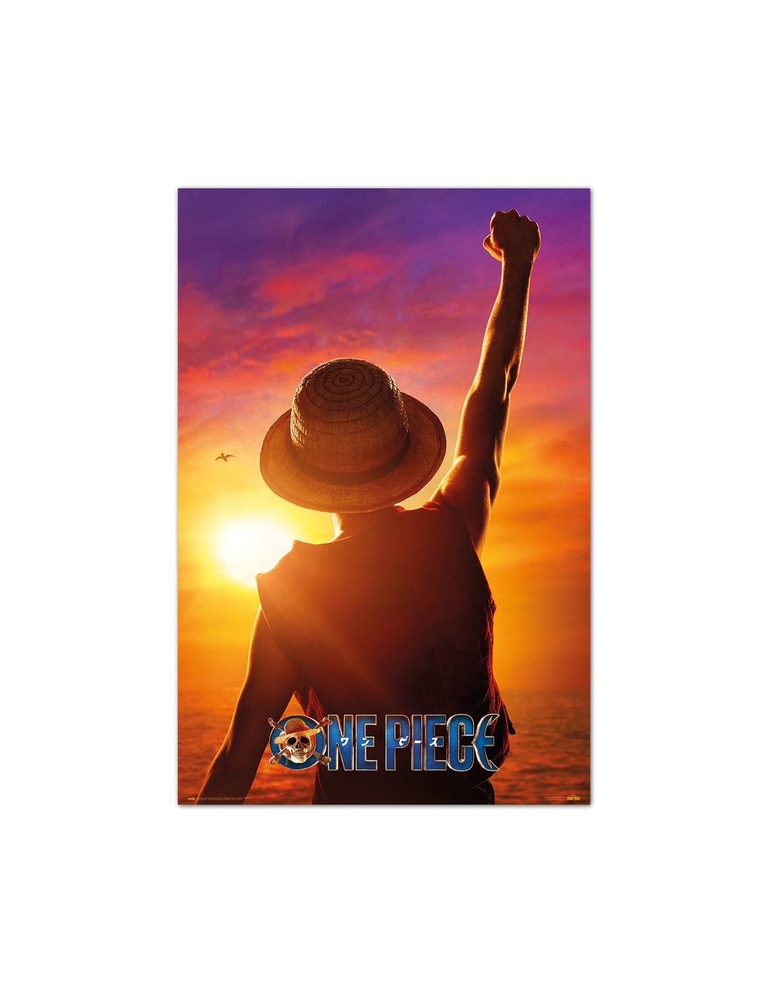Póster Monkey D Luffy Netflix One Piece